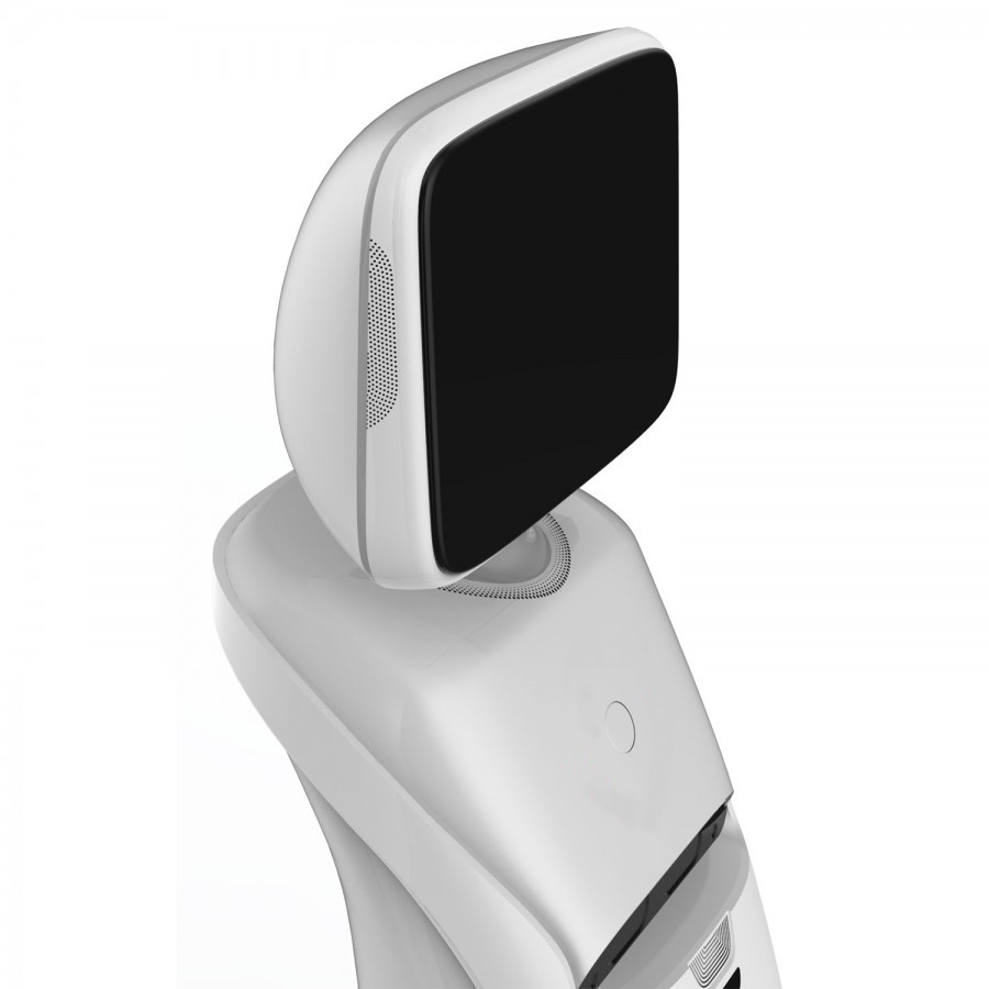 Intelligent telepresence Healthcare Robot SIFROBOT-1.0