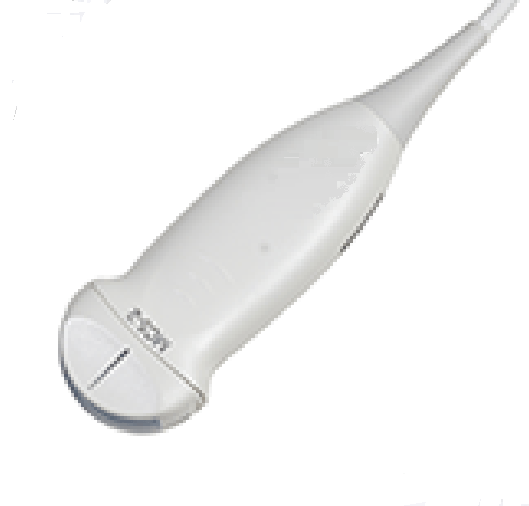 Micro-Convex Color Probe with 8'' Full-Touch Screen , 2-5MHz
