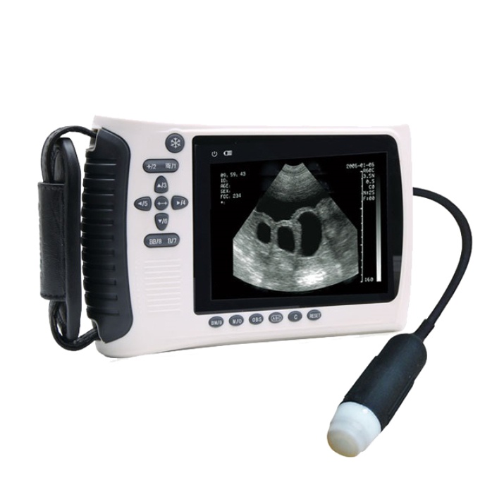 Veterinary Ultrasound Scanner SIFULTRAS-4.4 By SIFSOF